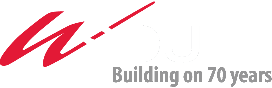 W. Soule | Process Integration - Custom Fabrication Innovation
